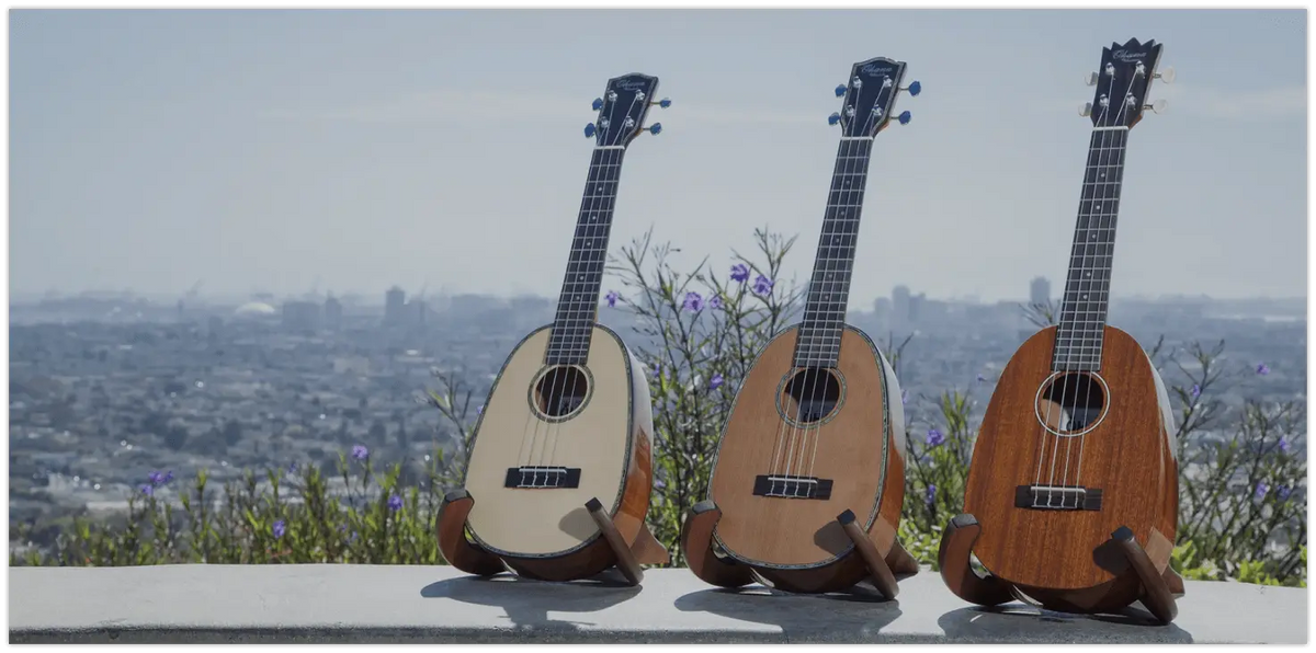 Top Ukulele Brands for Every Budget and Style